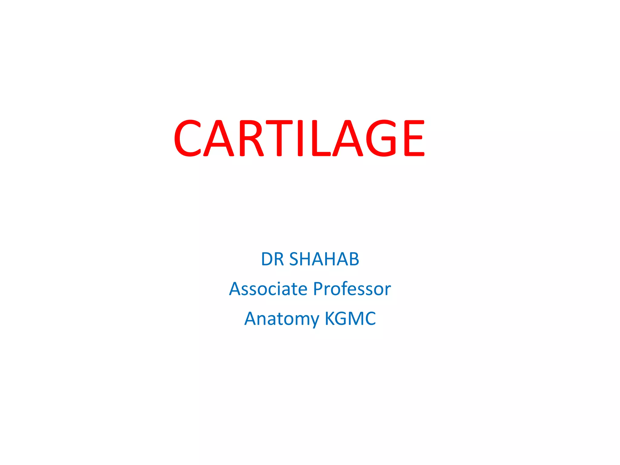 CARTILAGE.pdf