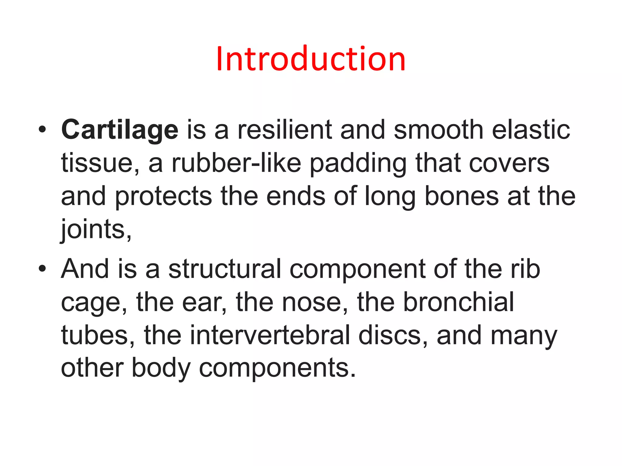 CARTILAGE.pdf | Bone and Joint Conditions | Diseases and Conditions