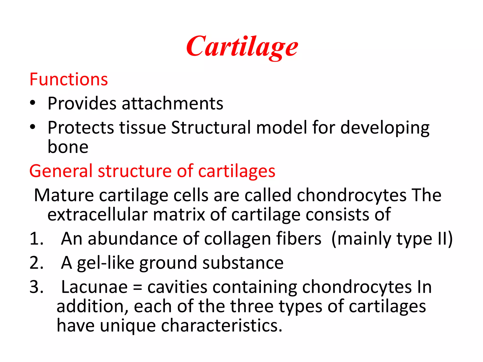 CARTILAGE.pdf