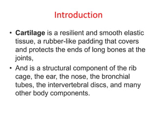 CARTILAGE.pdf | Bone and Joint Conditions | Diseases and Conditions