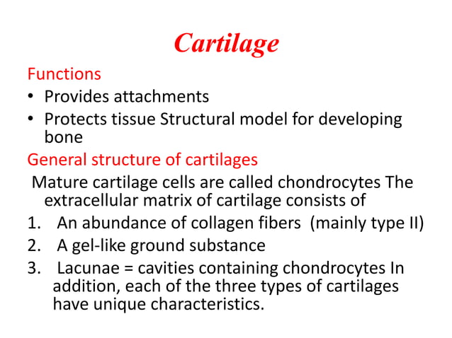 CARTILAGE.pdf | Bone and Joint Conditions | Diseases and Conditions