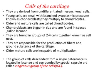 CARTILAGE.pdf | Bone and Joint Conditions | Diseases and Conditions