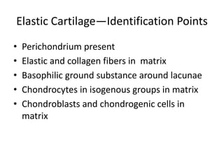 cartilage.pptx