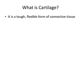 cartilage.pptx