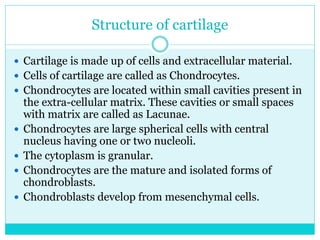 Cartilage.pptx