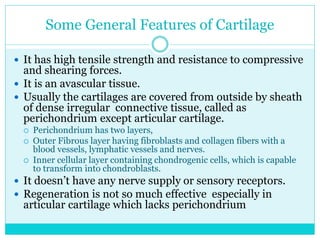 Cartilage.pptx