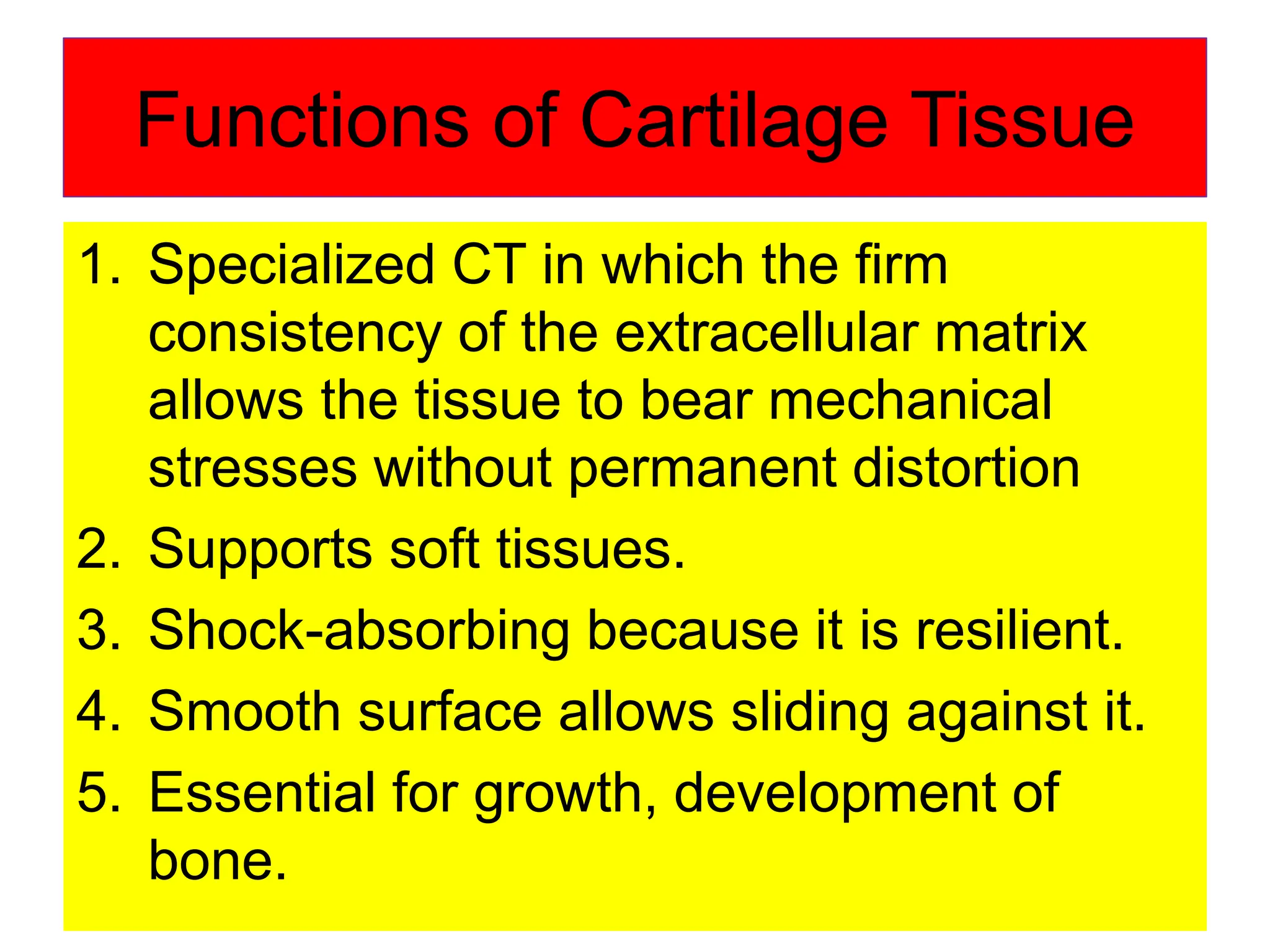 Cartilage.1.pdf