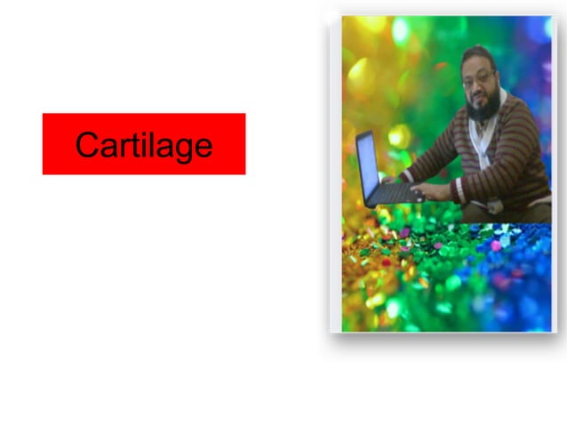 Cartilage.1.pdf