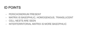 HISTOLOGY AND ANATOMY OF TYPES OF CARTILAGE.pdf