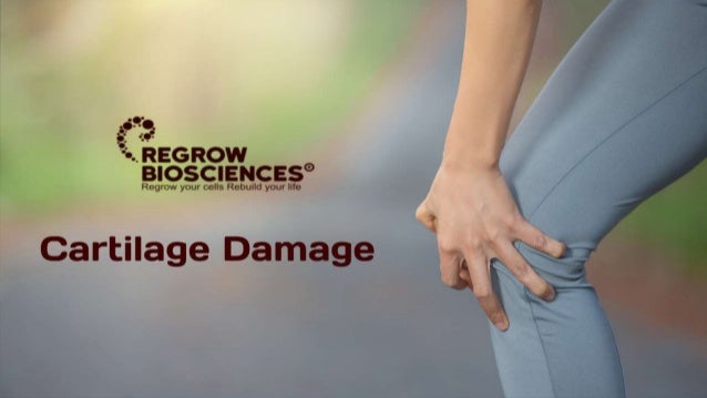 cartilage-damage.ppt