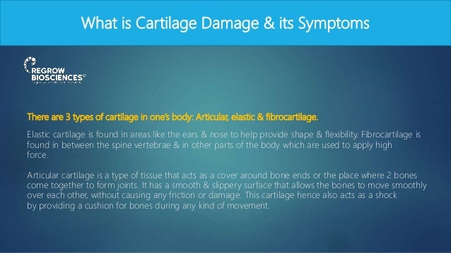 cartilage-damage.ppt