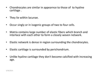 Cartilage (1) | PPTX