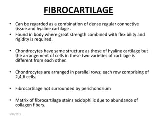 Cartilage (1) | PPTX