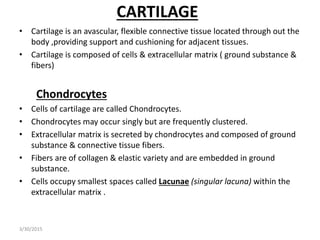 Cartilage (1) | PPTX