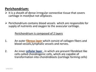 Cartilage (1) | PPTX