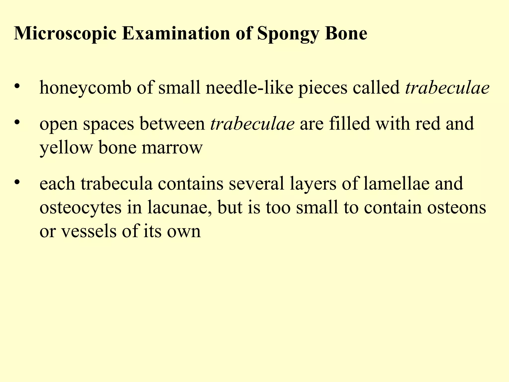 Cartilage and bone by adnan | PPT