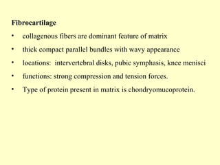 Cartilage and bone by adnan | PPT