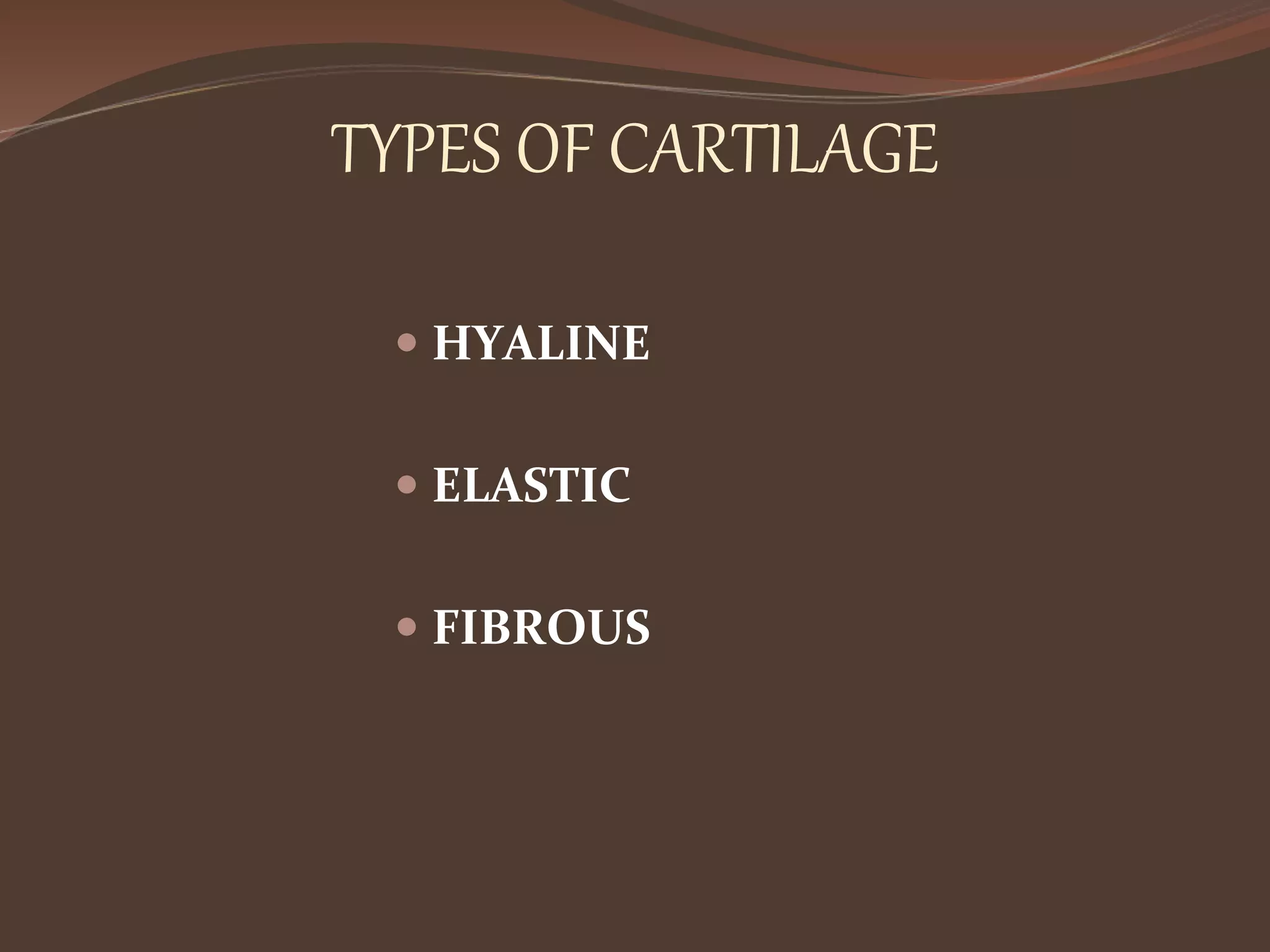 CARTILAGE AND BONE.ppt | Bone and Joint Conditions | Diseases and ...