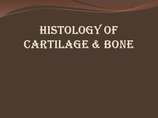 CARTILAGE AND BONE.ppt | Bone and Joint Conditions | Diseases and ...