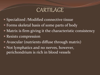 CARTILAGE AND BONE.ppt