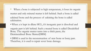 Brief explanation about cartilage and bone..pdf
