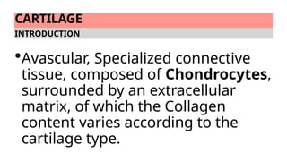 Cartilage and Bone - Dr. Jamal Alvi-1.pptx