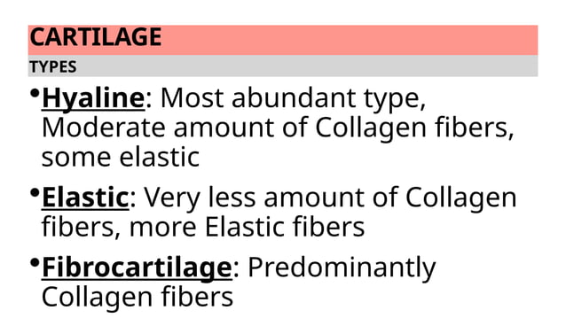 Cartilage and Bone - Dr. Jamal Alvi-1.pptx