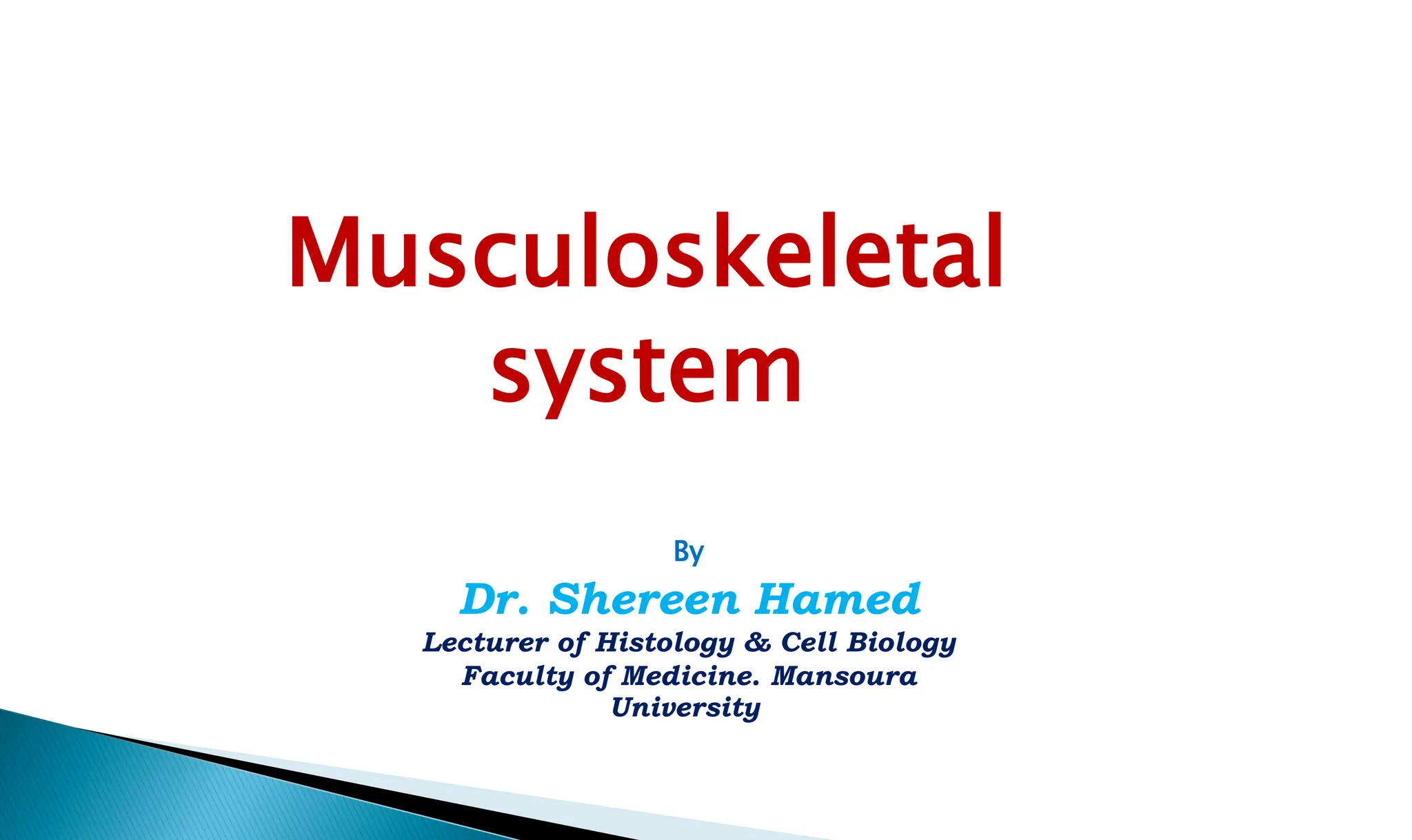cartilage and bone histology. Microscopic anatomy | PDF