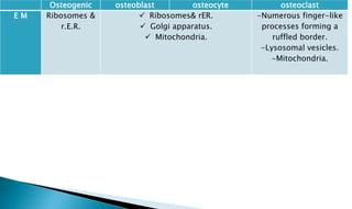 cartilage and bone histology. Microscopic anatomy | PDF