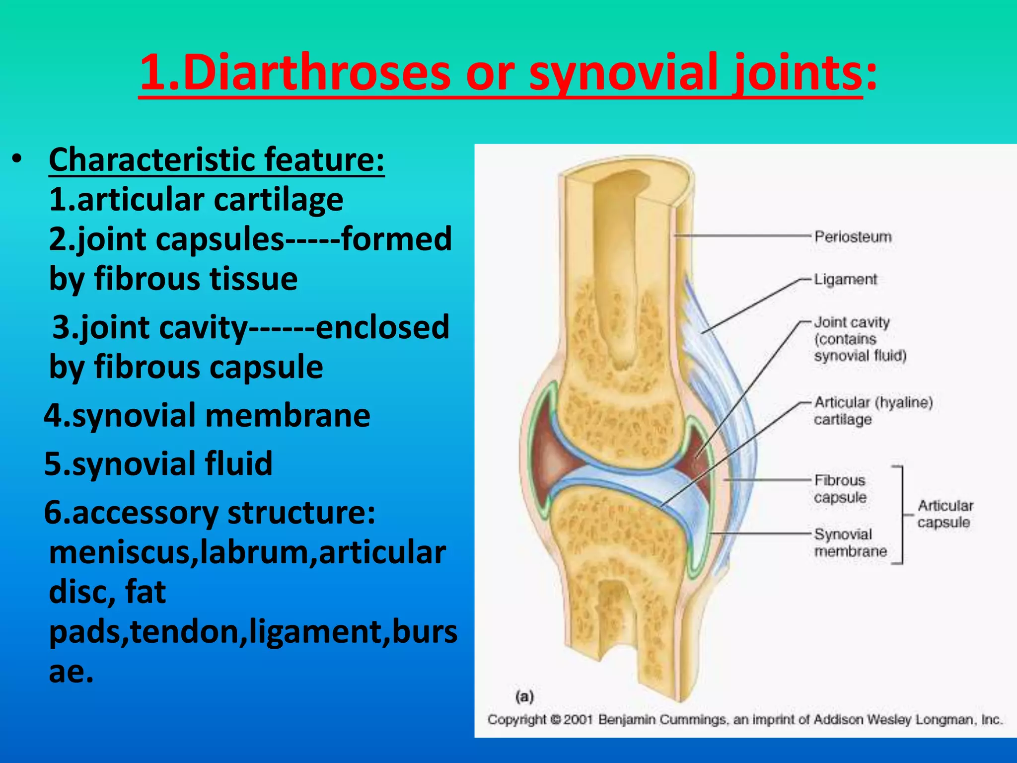 Cartilage and joints | PPTX