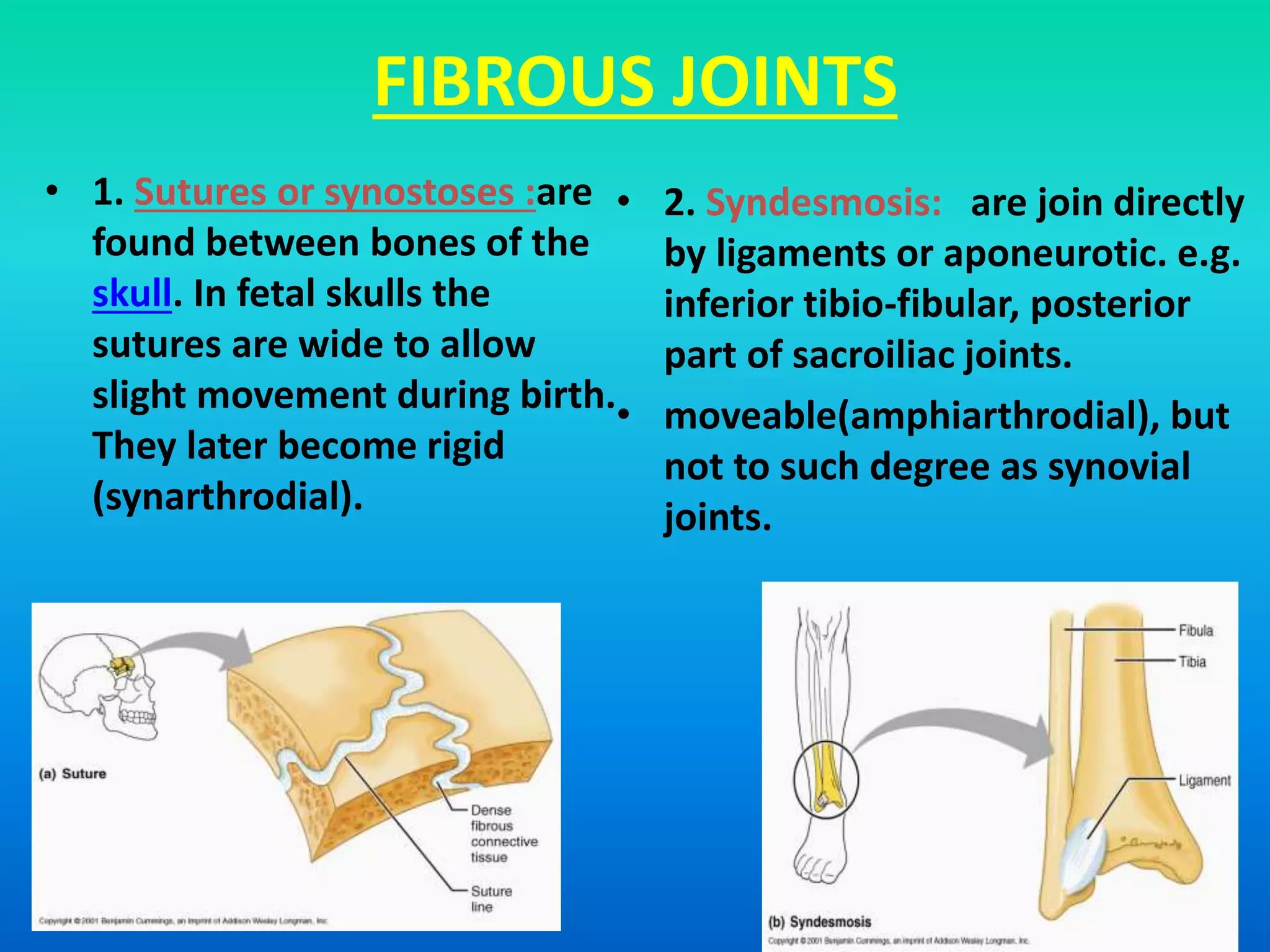 Cartilage and joints | PPTX