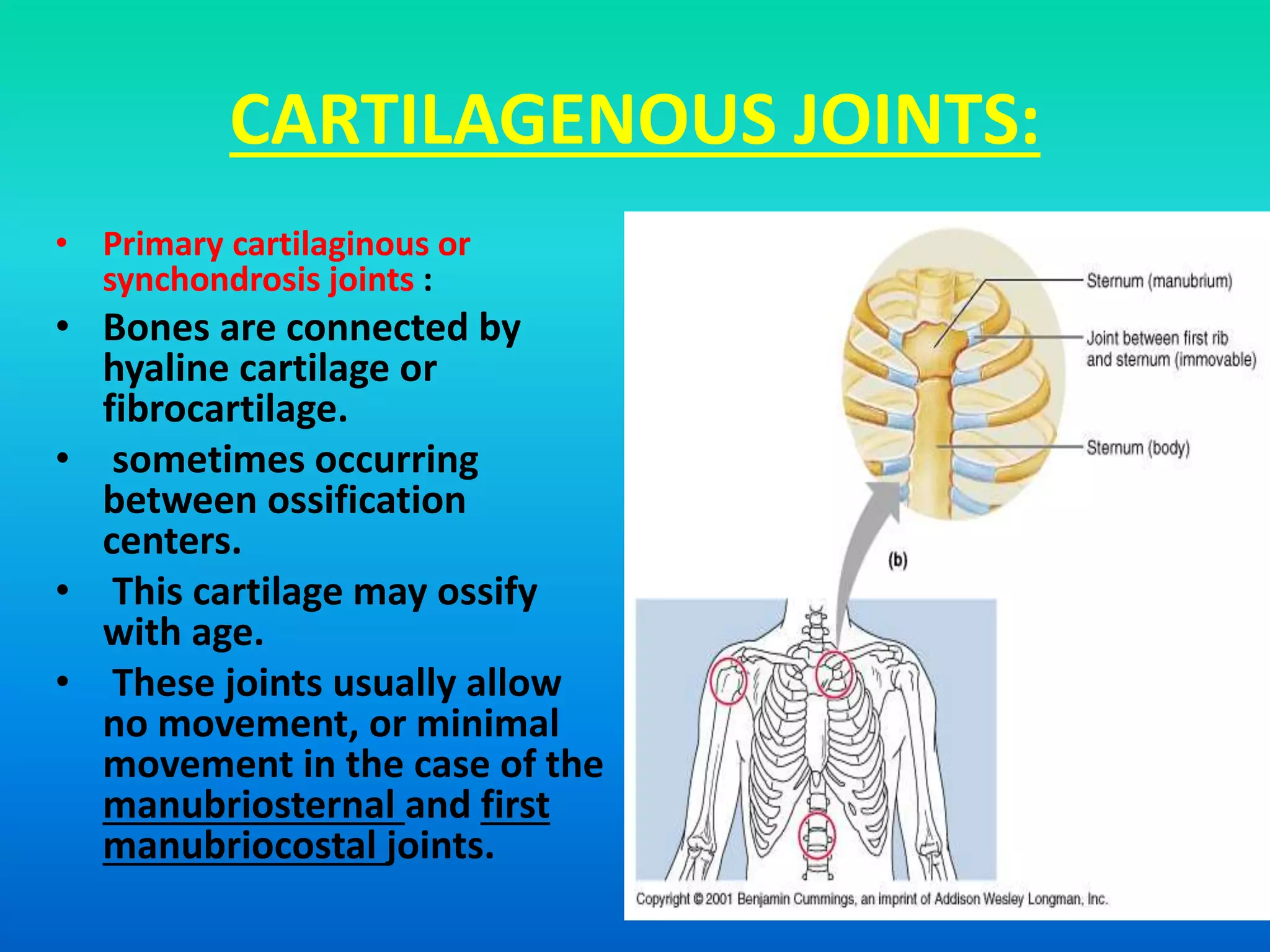 Cartilage and joints | PPTX