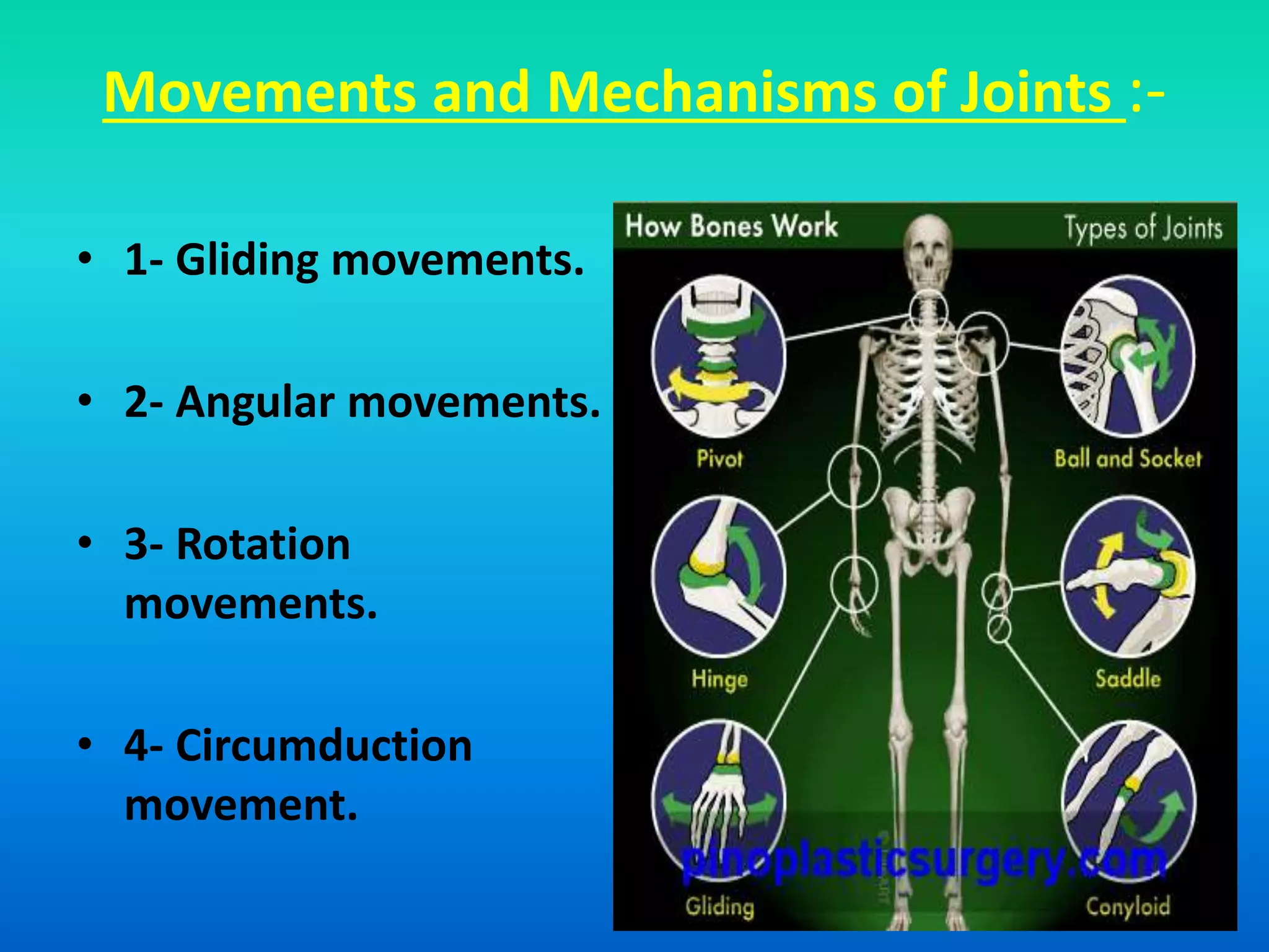 Cartilage and joints | PPTX