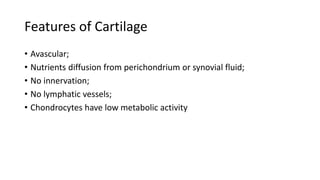 Cartilage_[Autosaved].pptx