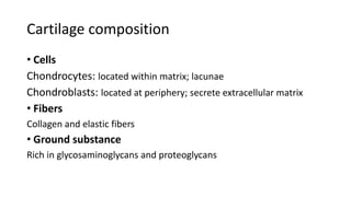 Cartilage_[Autosaved].pptx