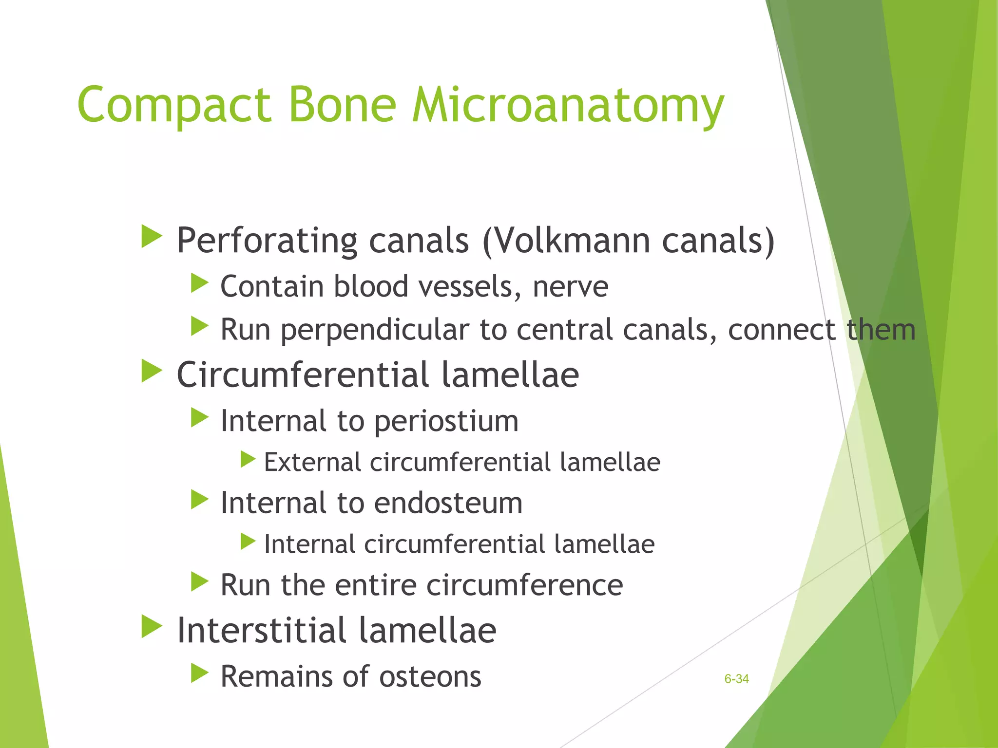 Cartilage,bone,ct | PPT | Bone and Joint Conditions | Diseases and ...