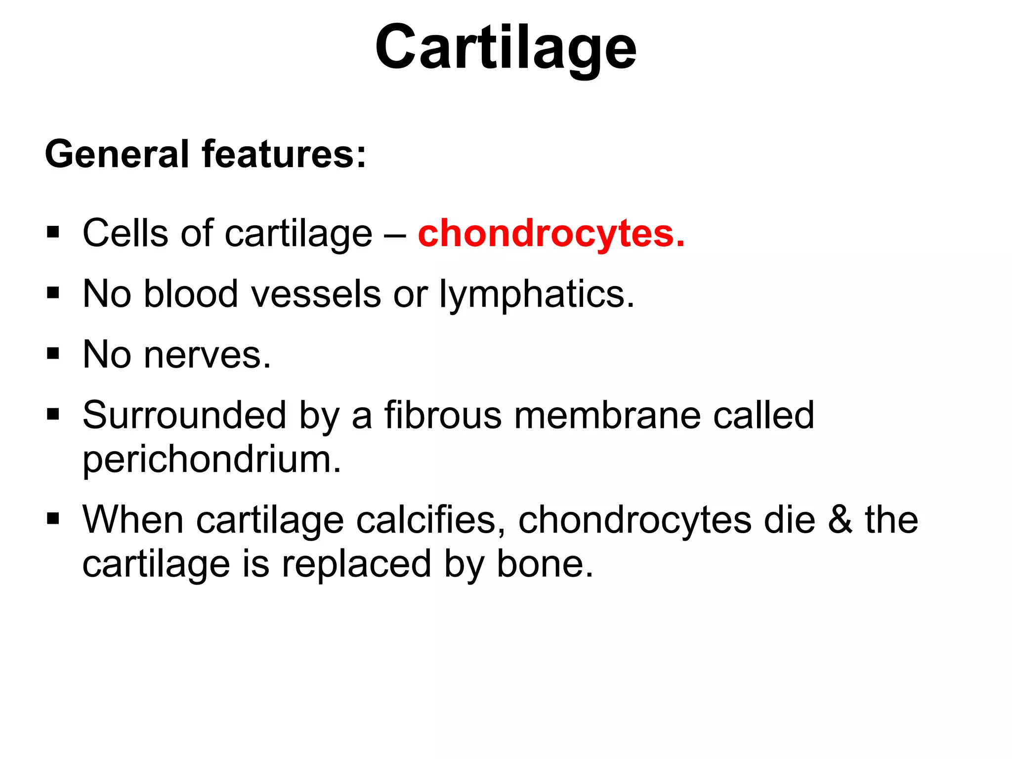 Cartilage & bone, mbbs 1st year | PPT