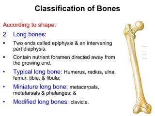 Cartilage & bone, mbbs 1st year | PPT