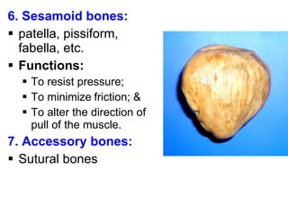 Cartilage & bone, mbbs 1st year | PPT