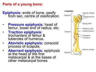 Cartilage & bone, mbbs 1st year | PPT