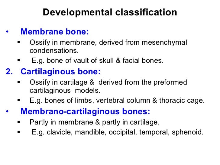 Cartilage & bone, mbbs 1st year