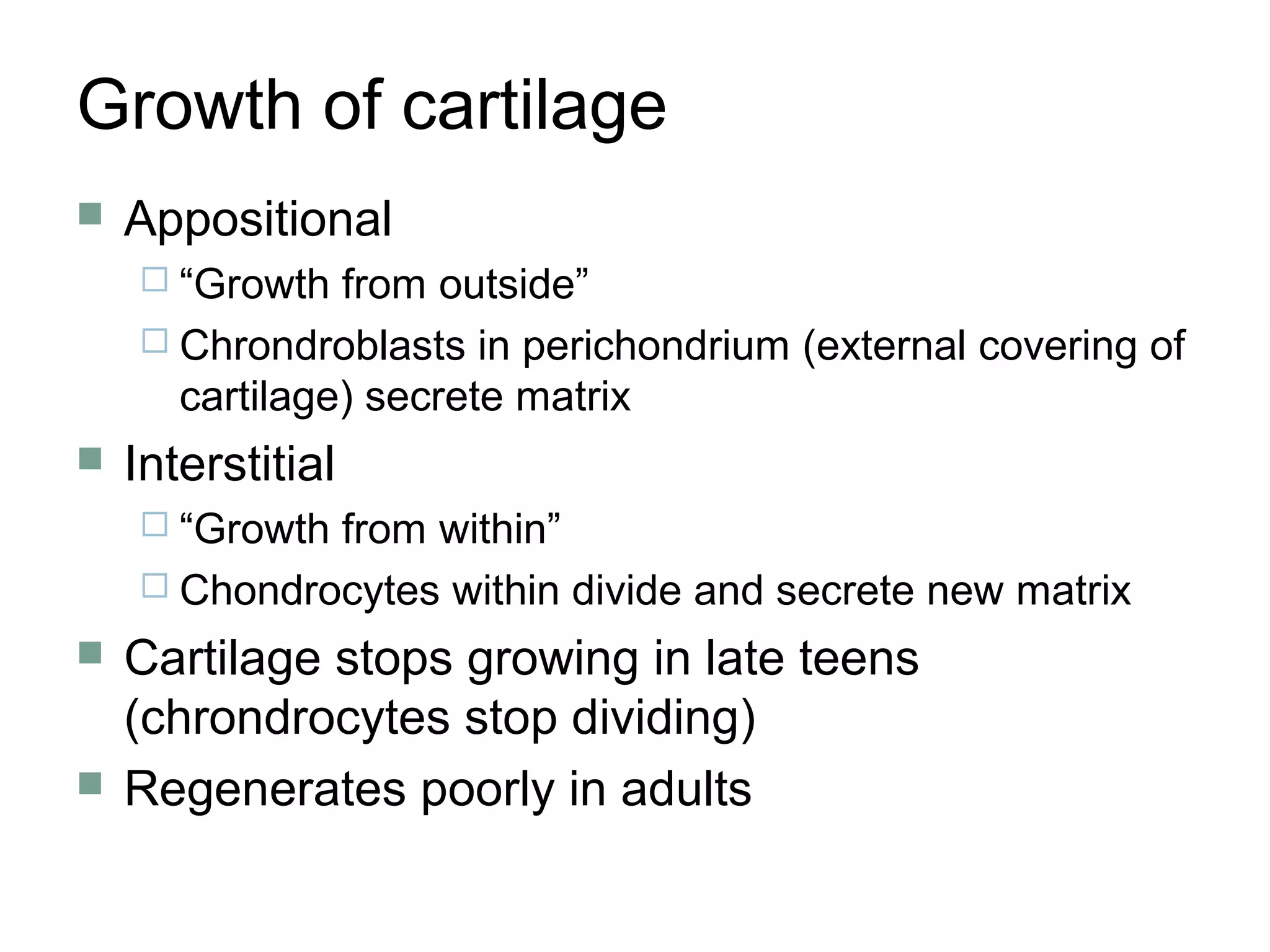 Cartilage & bones | PPT