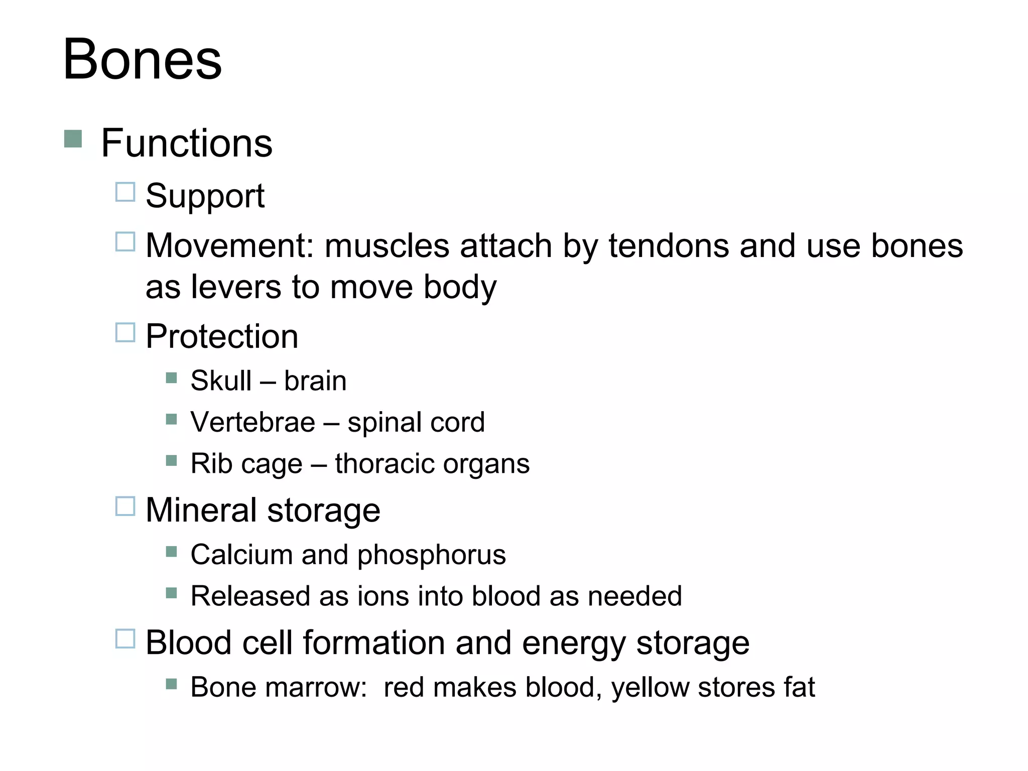 Cartilage & bones | PPT
