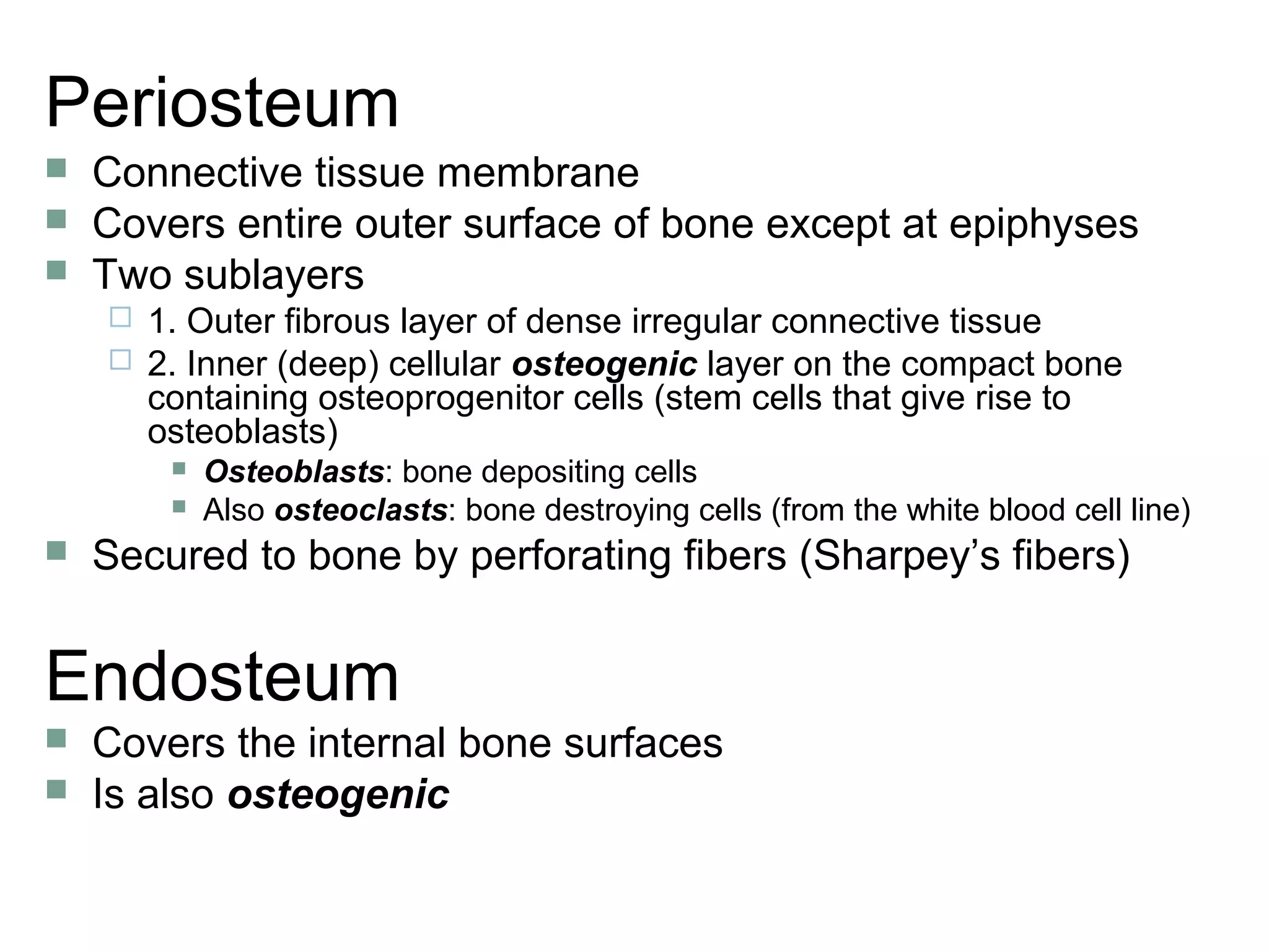 Cartilage & bones | PPT