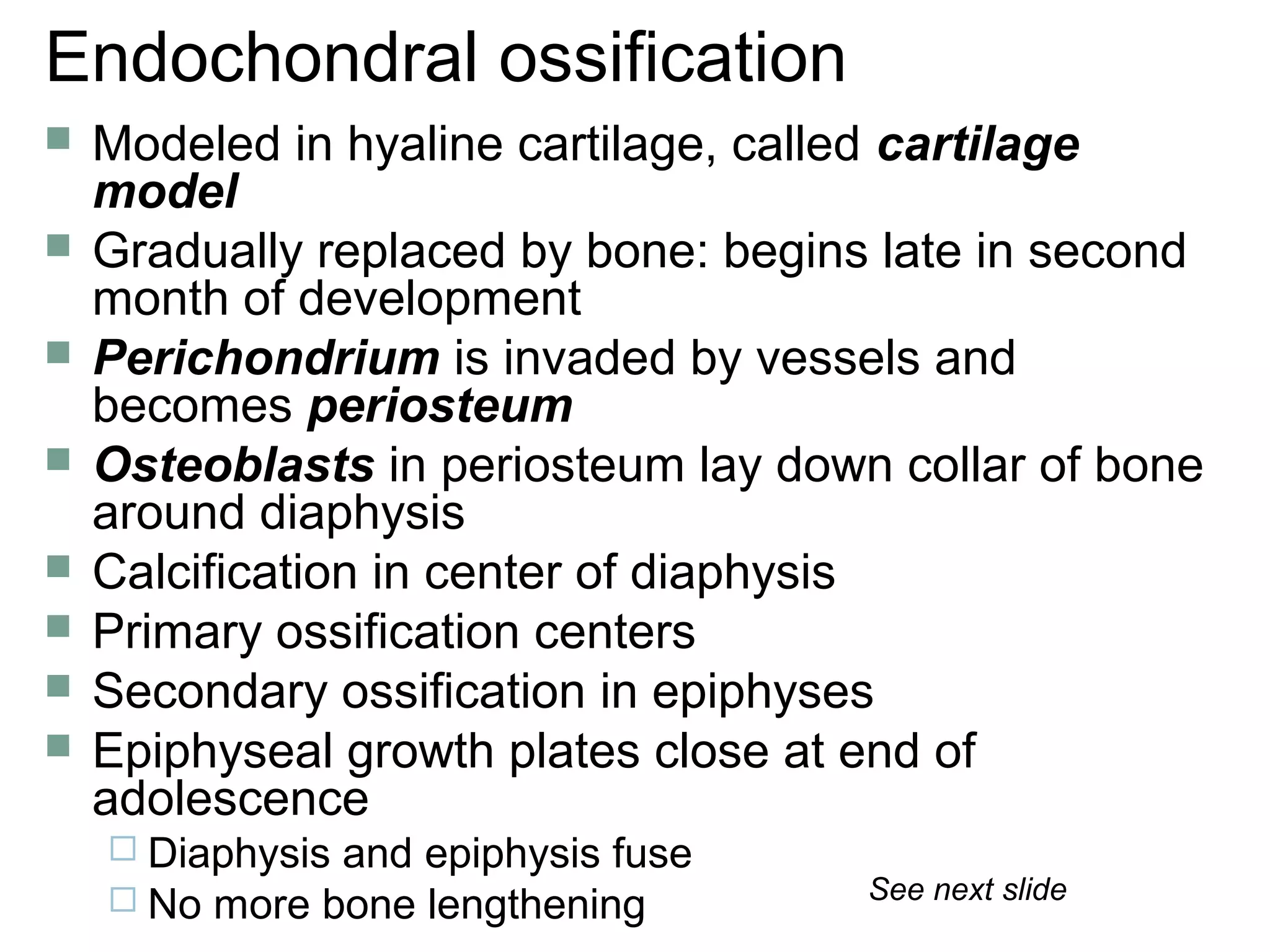 Cartilage & bones | PPT