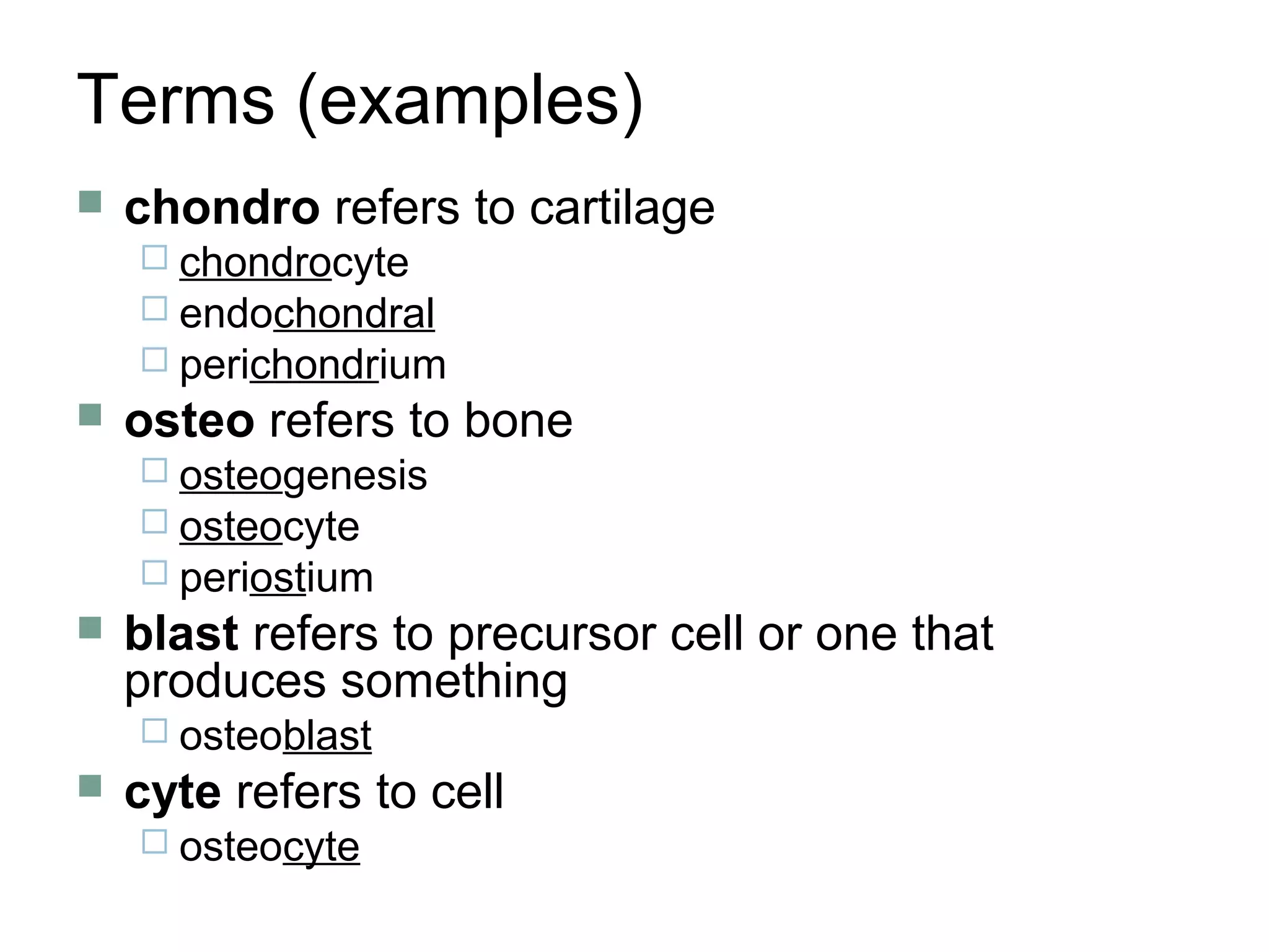 Cartilage & bones | PPT