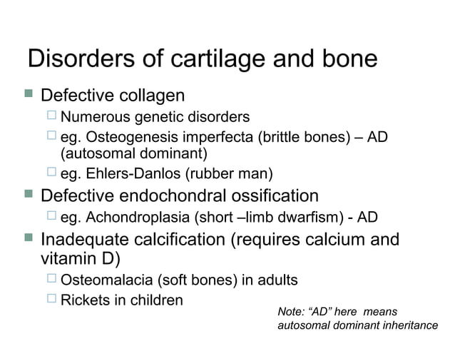 Cartilage & bones | PPT