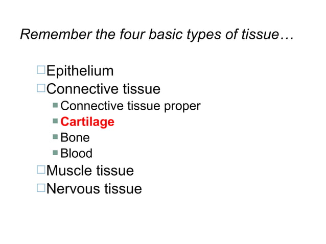 Cartilage & bones | PPT