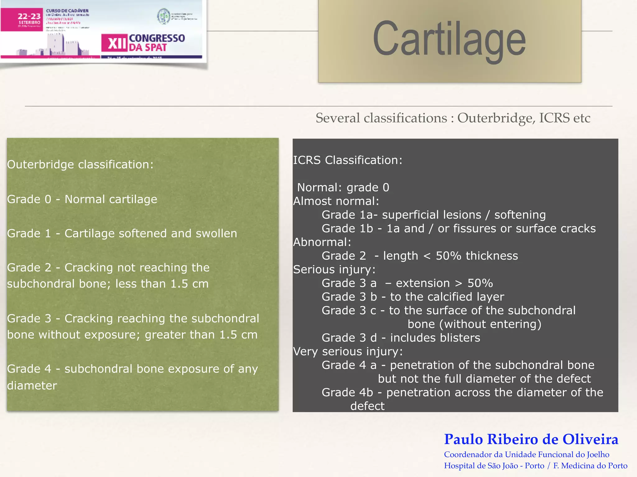 Cartilage Lesion - How i Do it | PDF
