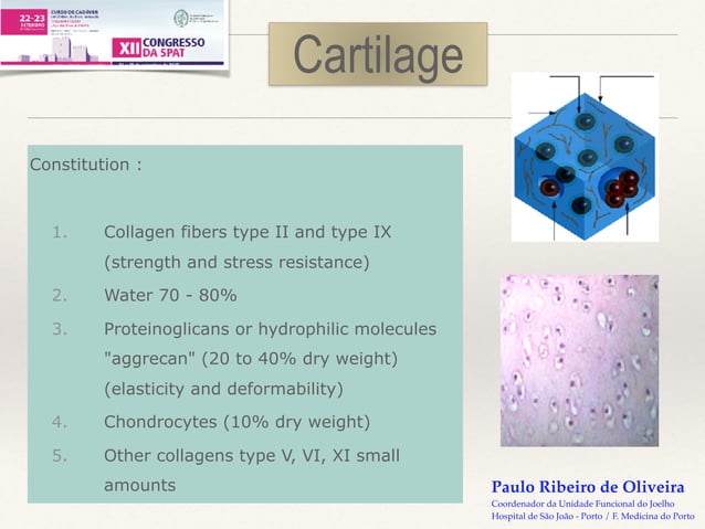Cartilage Lesion - How i Do it | PPT